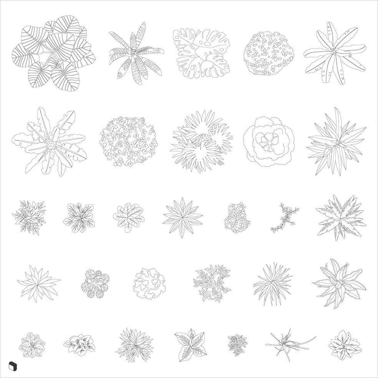 Cad Diverse Plants Top View | Toffu Co