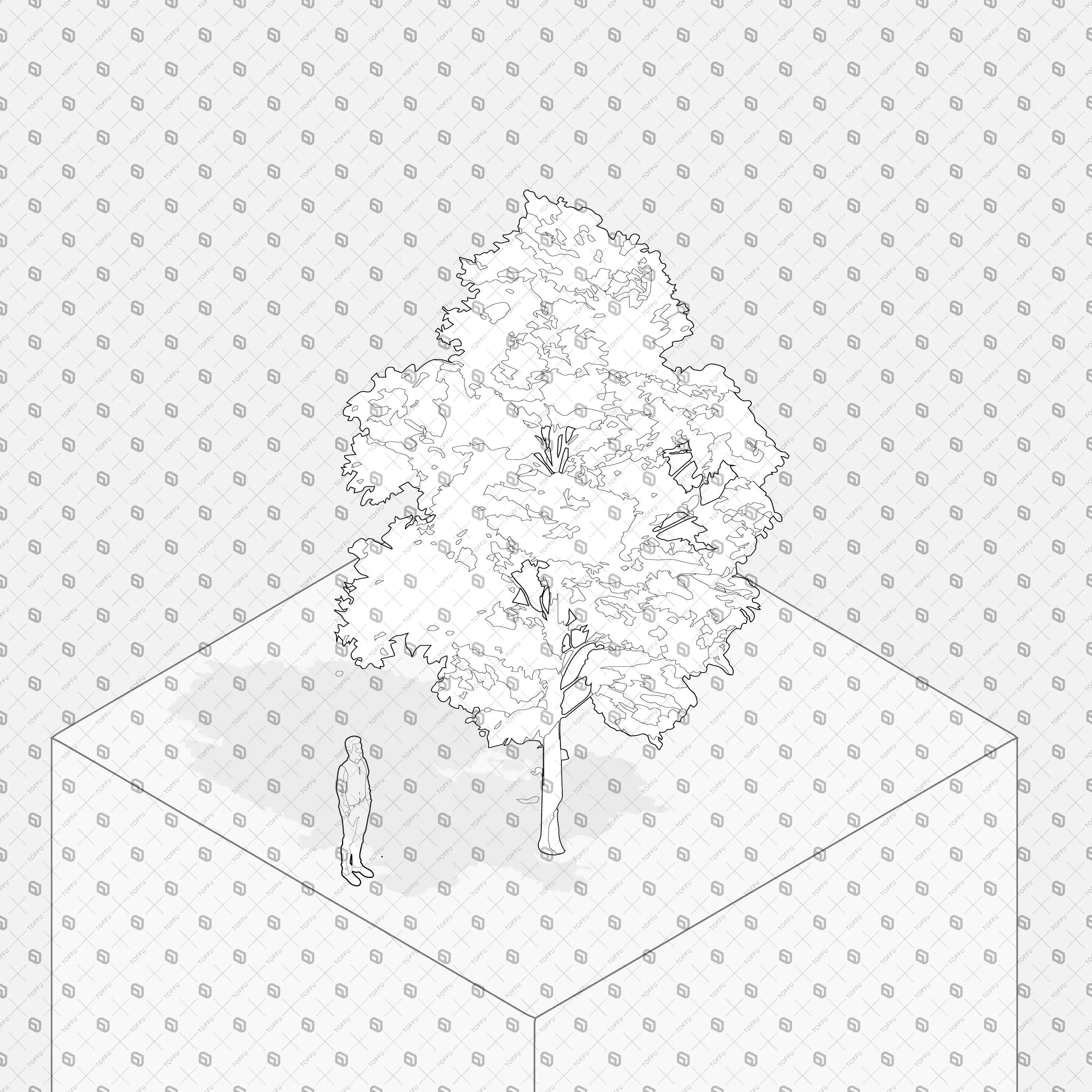 Axonometric Cad Trees with Shadows – Toffu Co Axonometric Cad Trees with Shadows – Toffu Co