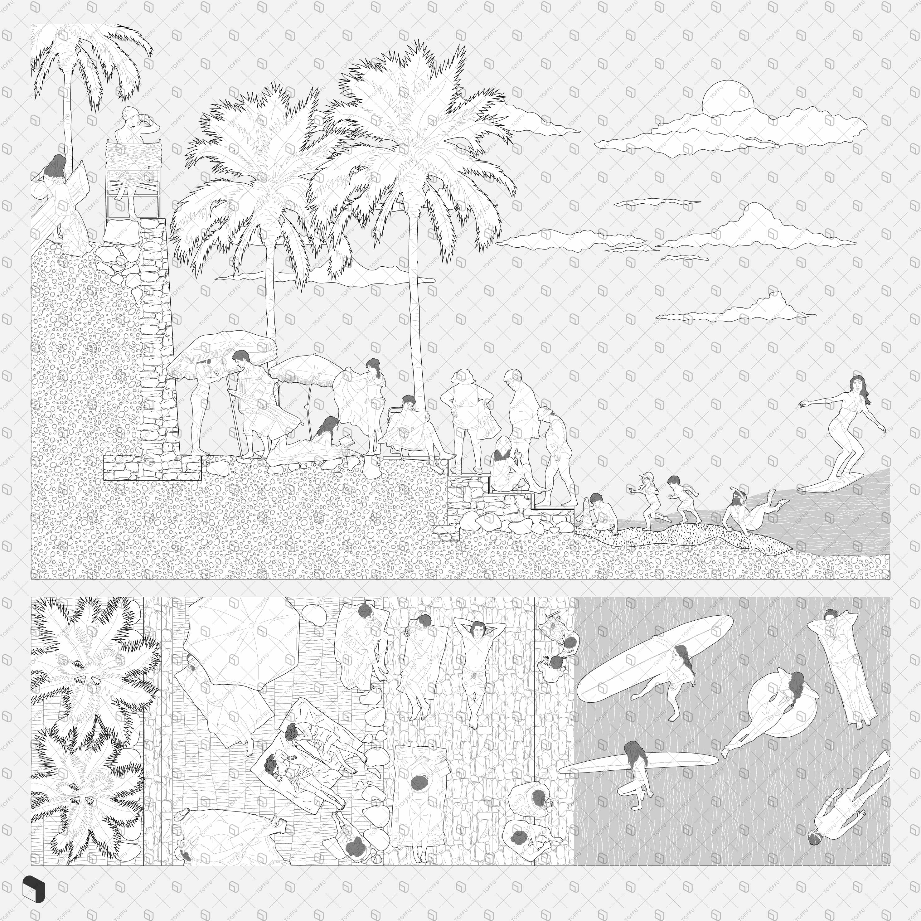 Flat Vector Detailed Beach Section & Plan | Toffu – Toffu – Toffu Co