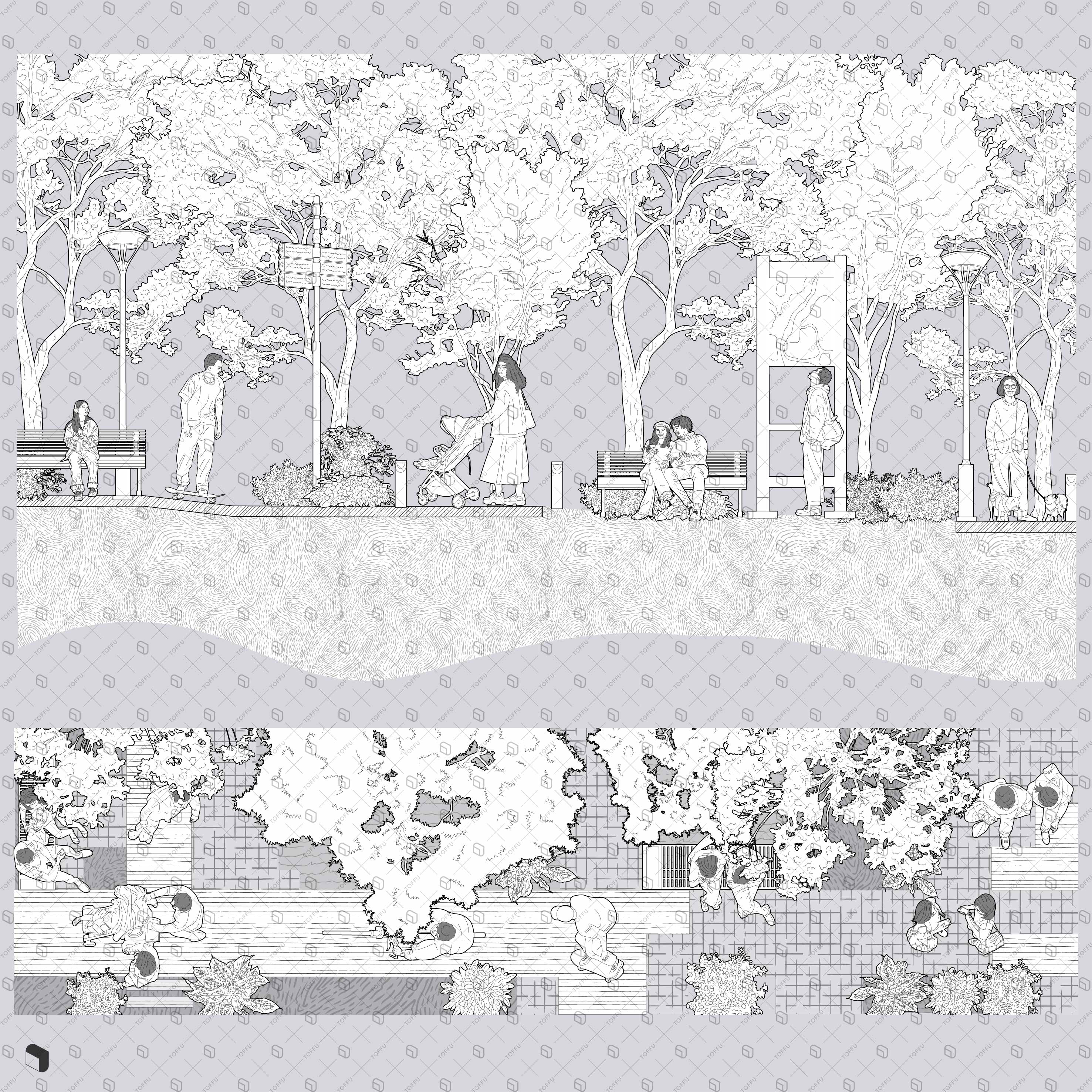 Flat Vector Detailed Urban Square Section and Plan | Toffu – – Toffu Co