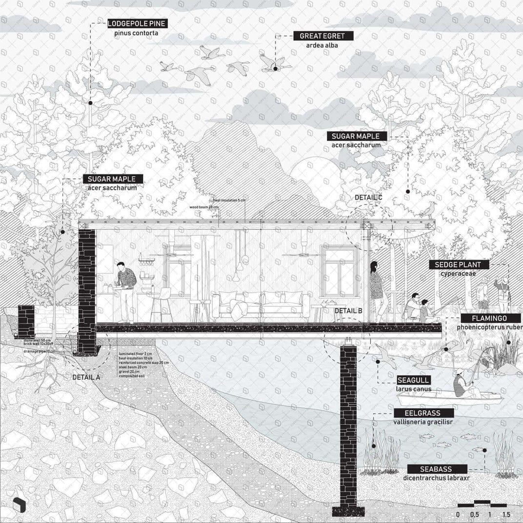 Flat Vector Section – Toffu Co