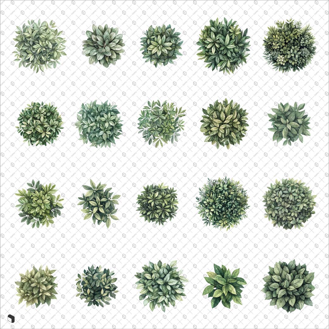 Cad & Cutout Detailed Vegetation Silhouettes Top View – Toffu Co