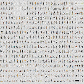 Flat Vector Common People Mega Pack – Toffu Co