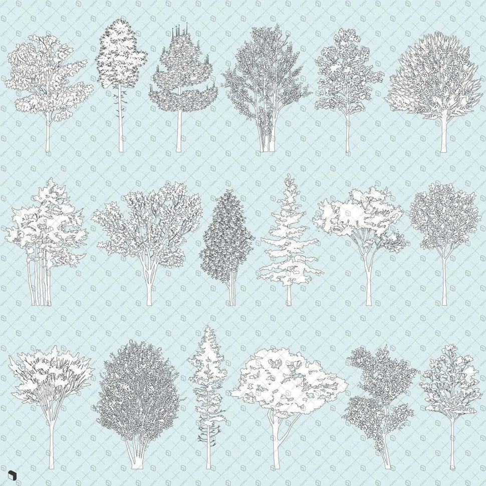 Flat Vector Detailed Trees | Toffu Co
