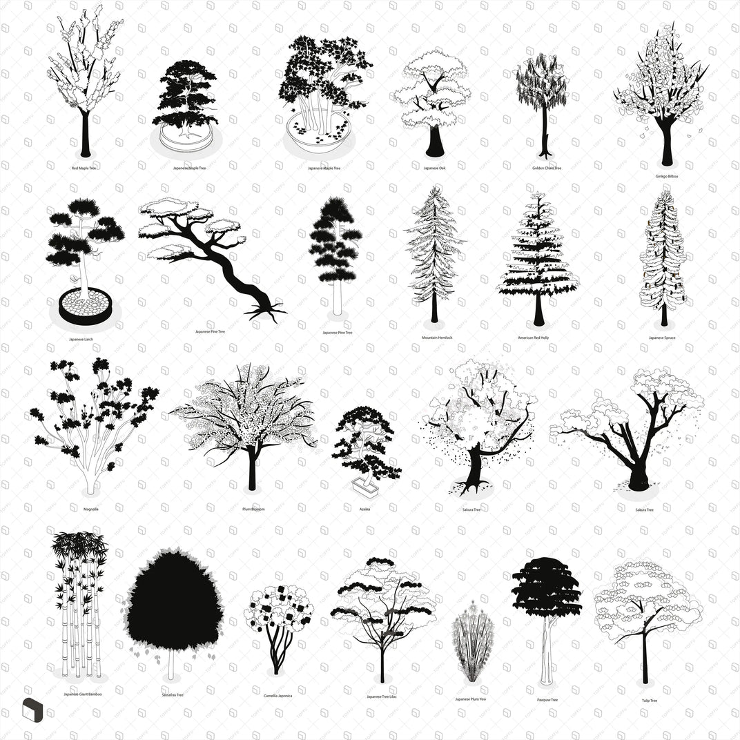 Axonometric Page 6 Toffu Co