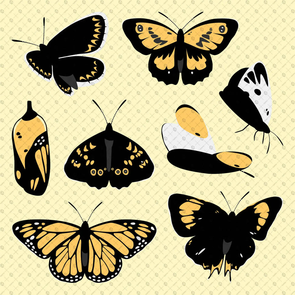 Flat Vector Butterflies – Toffu Co